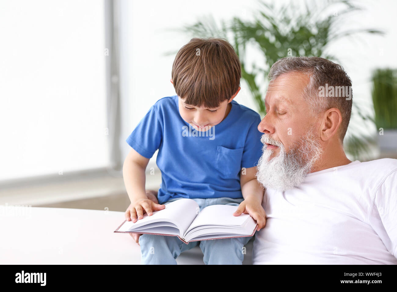 Cute little boy with grandfather reading book at home Stock Photo - Alamy