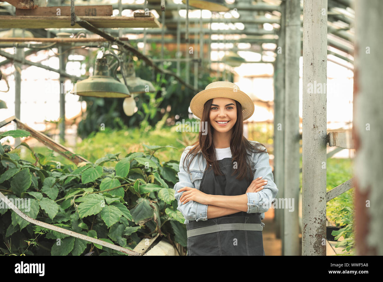 Beautiful female gardener in greenhouse Stock Photo - Alamy
