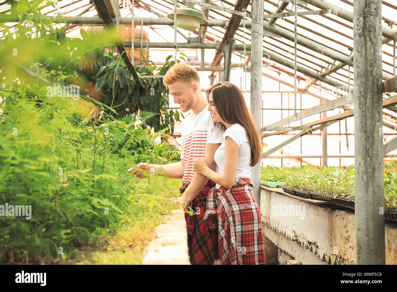 Portrait male female gardeners hi-res stock photography and images - Alamy