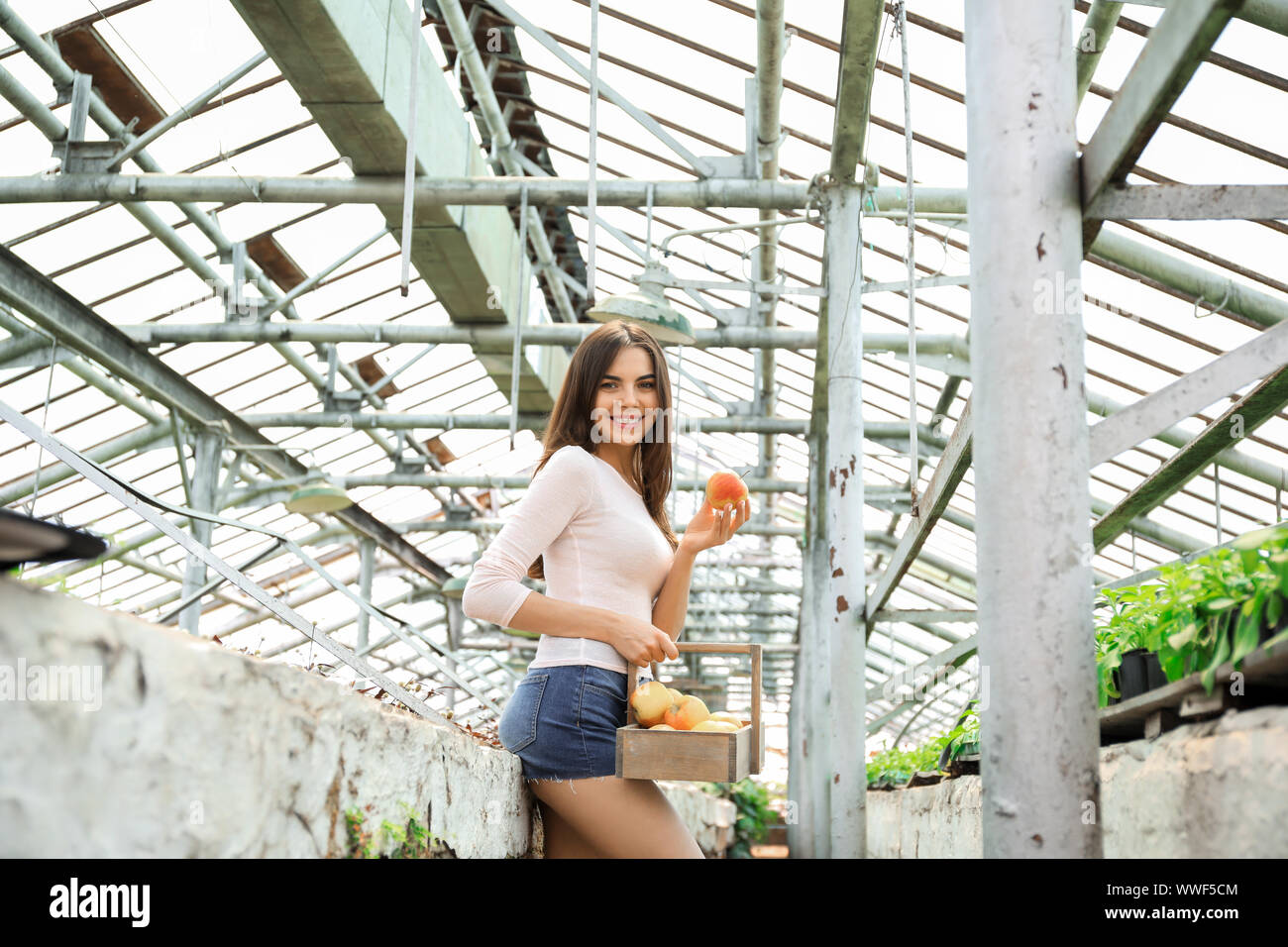 Beautiful female gardener in greenhouse Stock Photo - Alamy