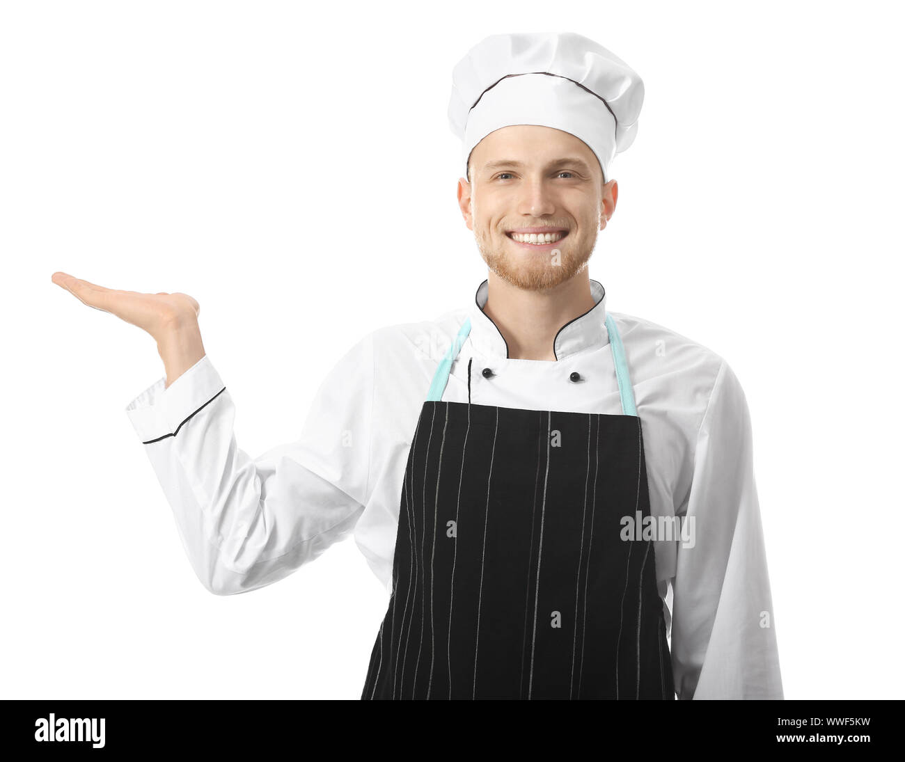 Handsome male chef showing something on white background Stock Photo ...