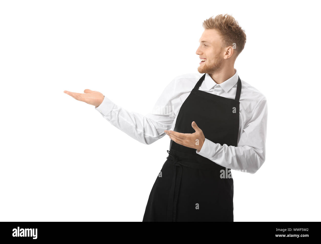 Handsome male chef showing something on white background Stock Photo ...