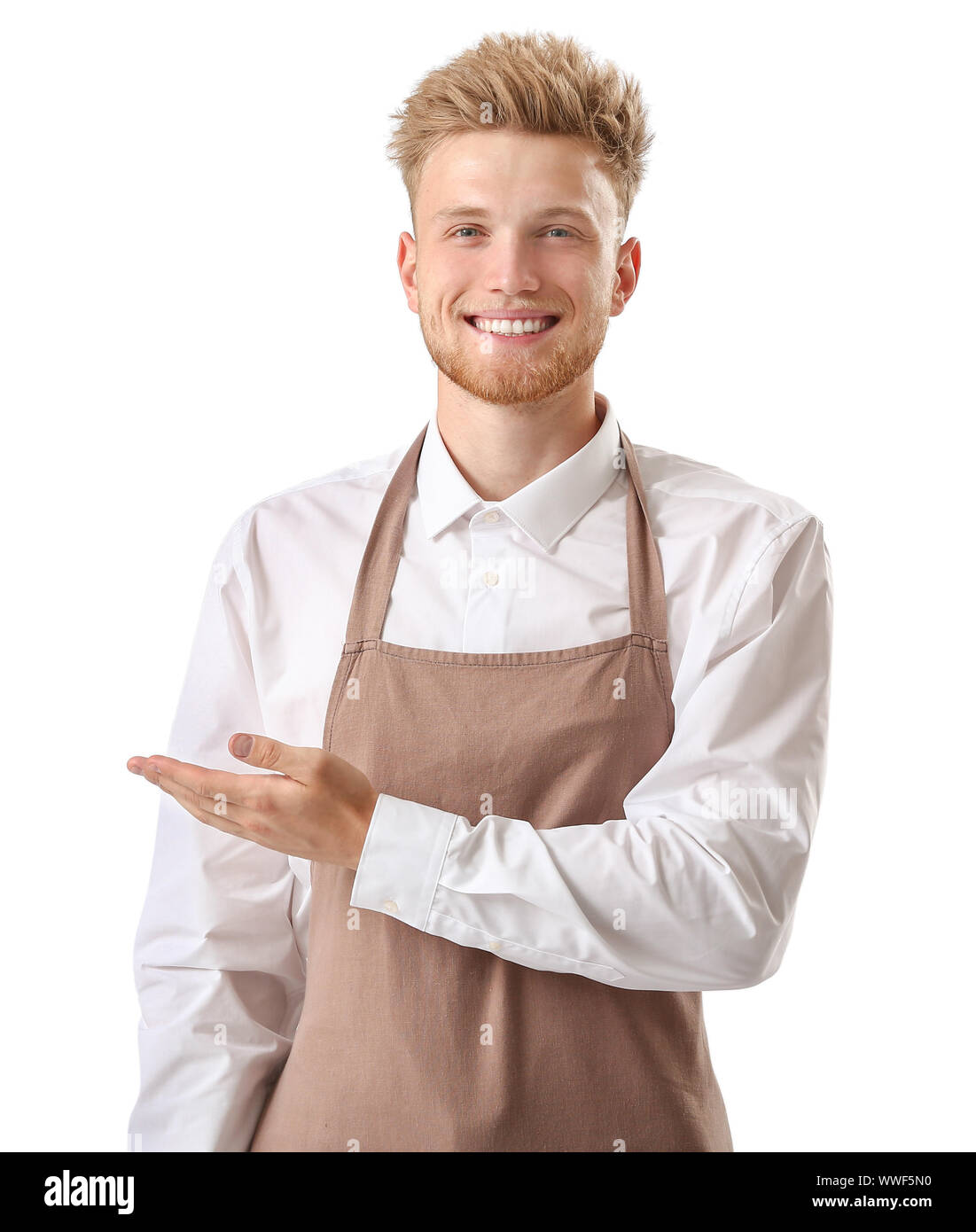 Handsome male chef showing something on white background Stock Photo ...