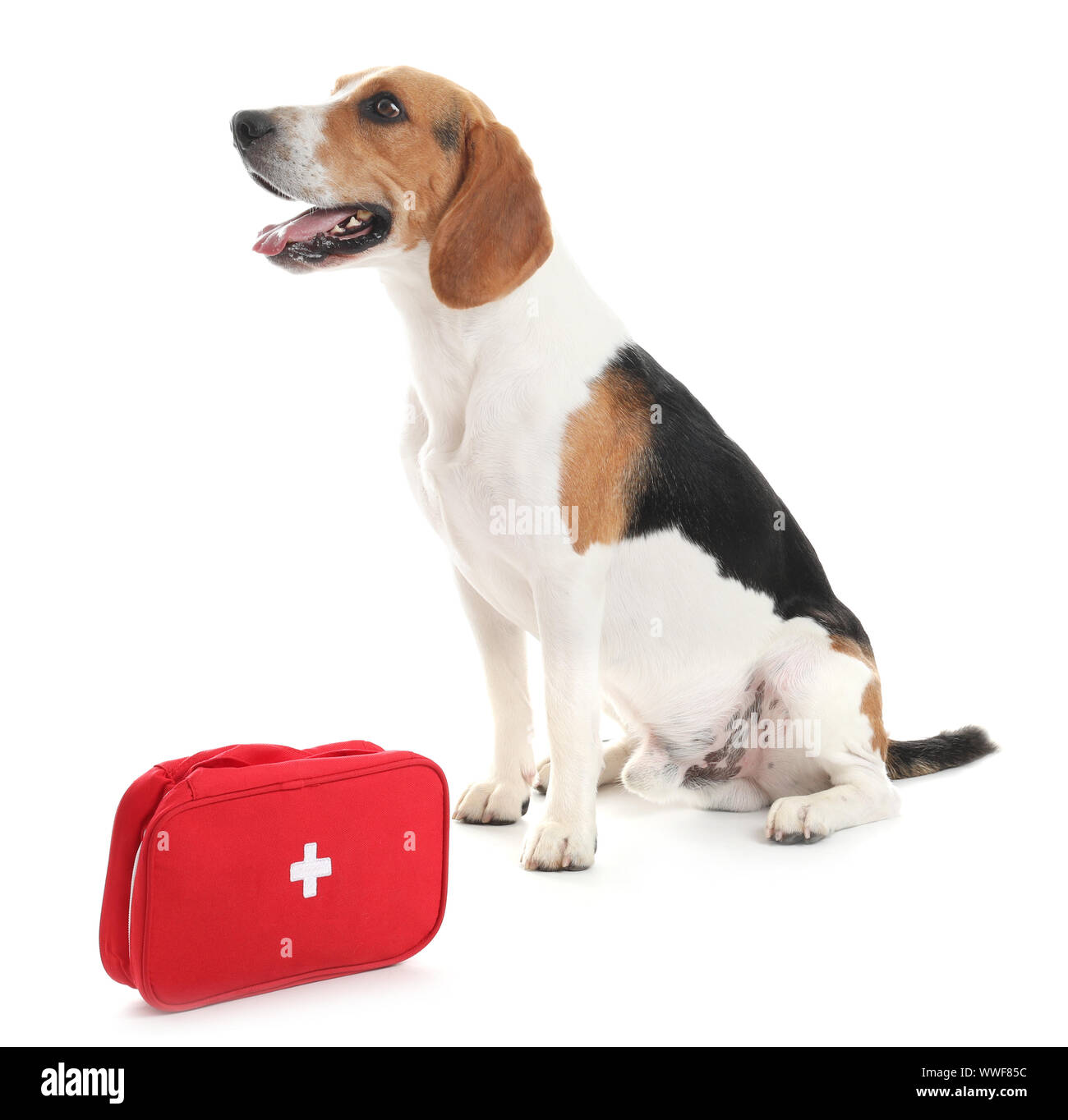 Vet kit hi-res stock photography and images - Alamy
