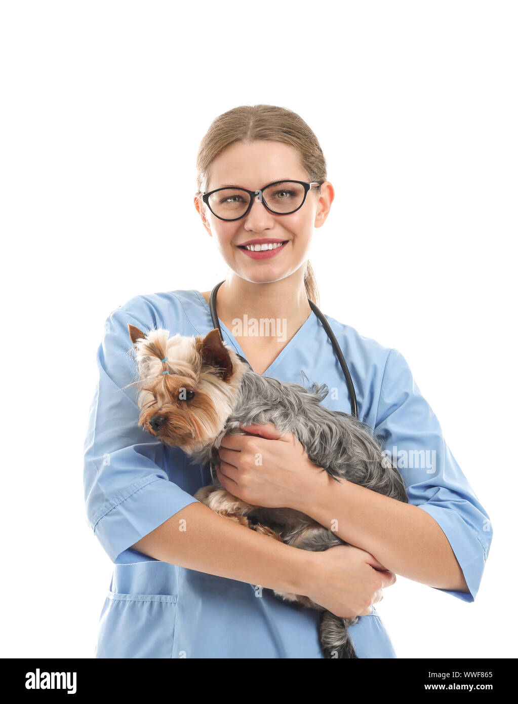 Veterinarian with cute dog on white background Stock Photo - Alamy