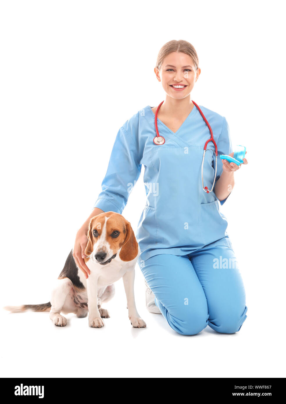Female veterinarian with cute dog on white background Stock Photo - Alamy