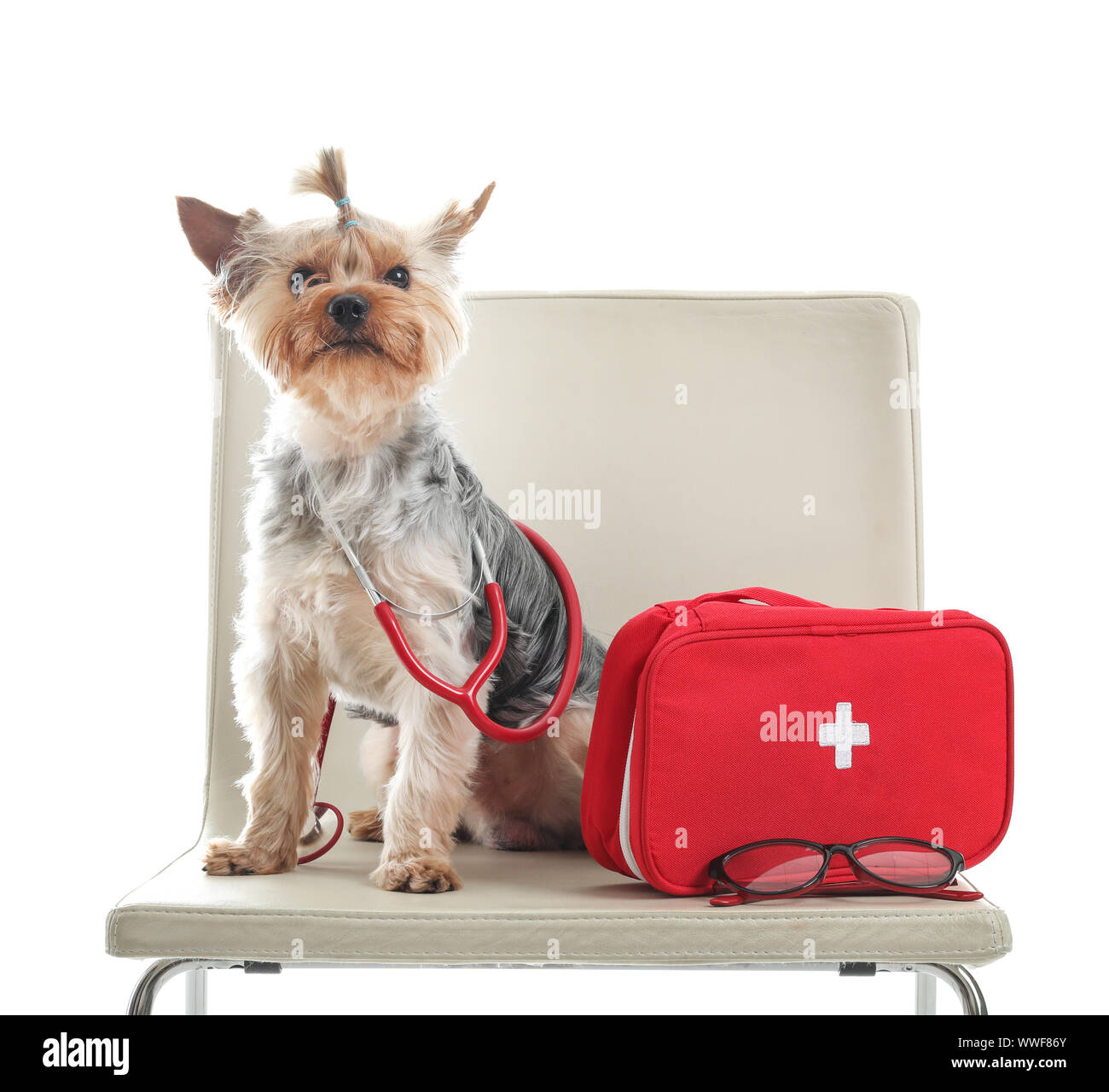 Cute dog with stethoscope and first aid kit on chair against white ...