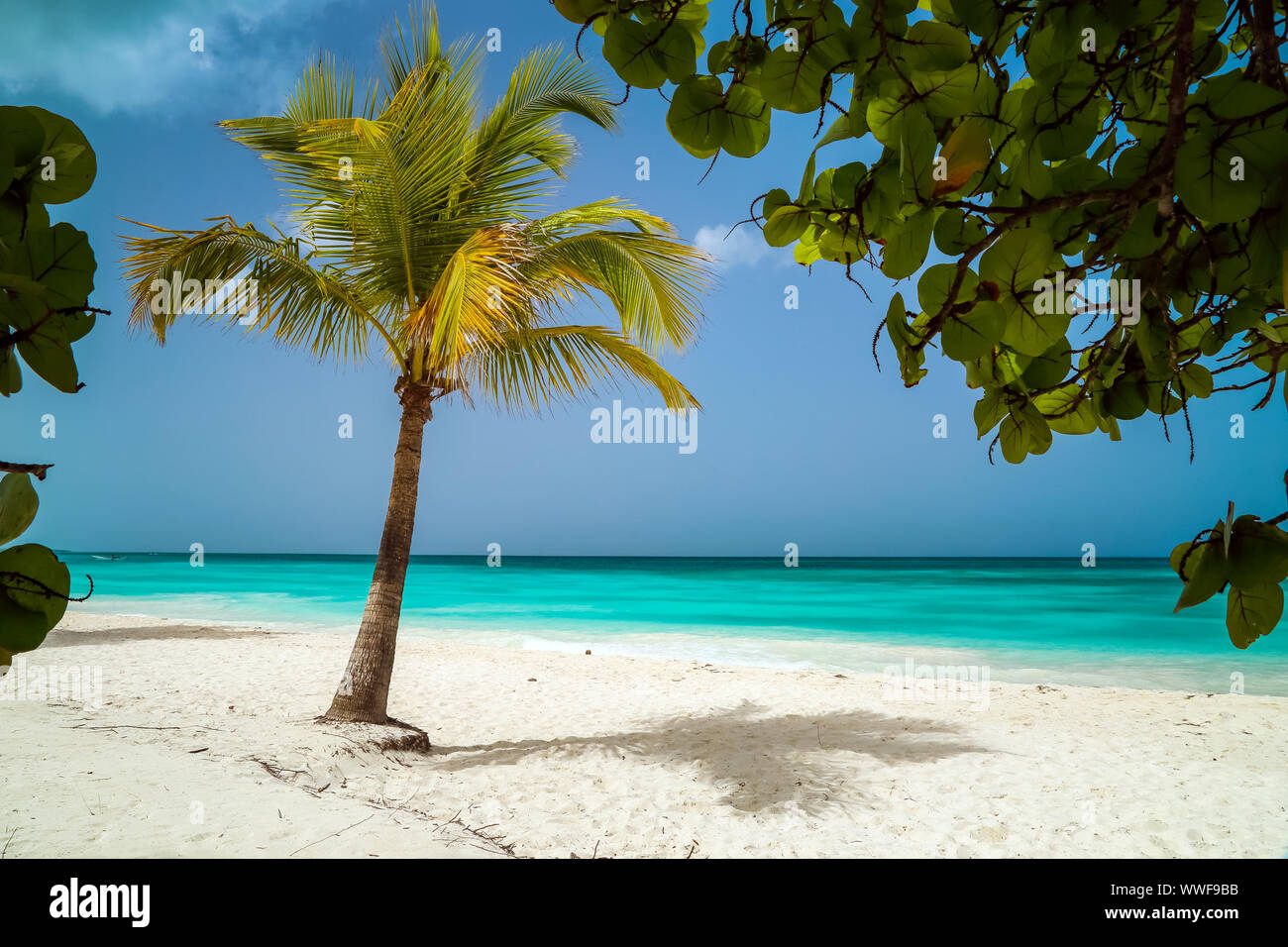 Natural Framing Photography