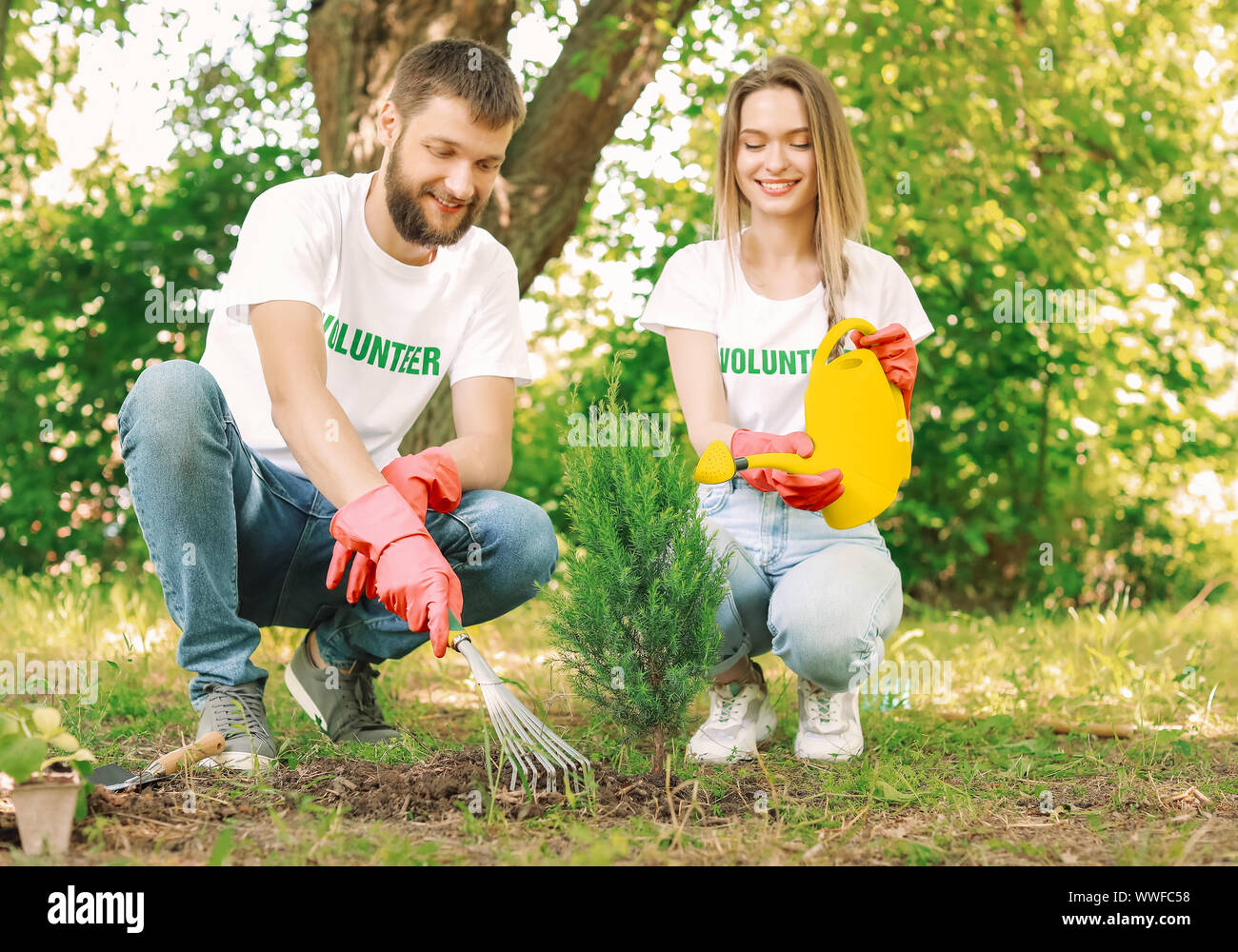 Volunteers planting tree hi-res stock photography and images - Alamy