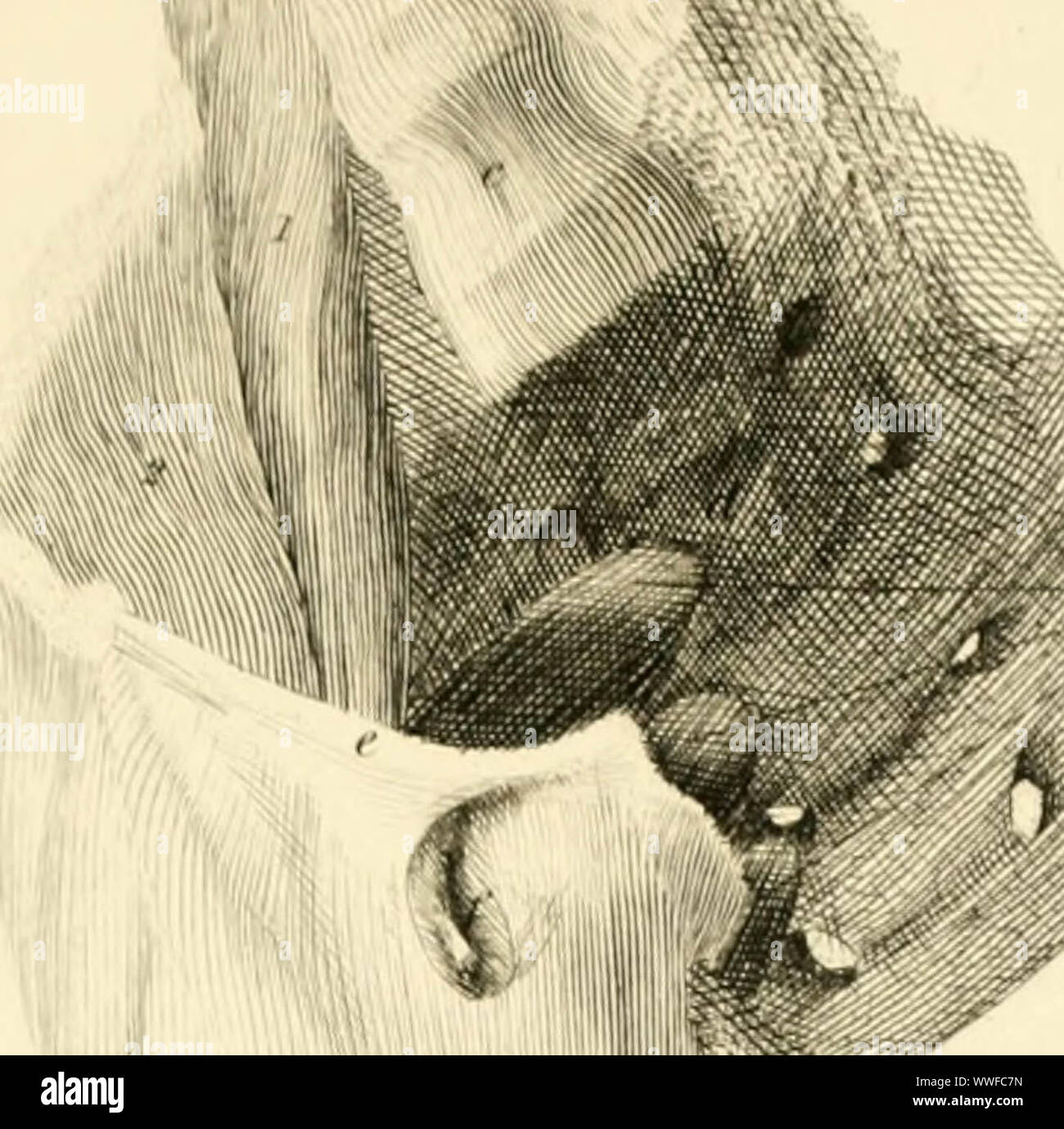 "Views of the muscles of the human body" (1820 Stock Photo - Alamy