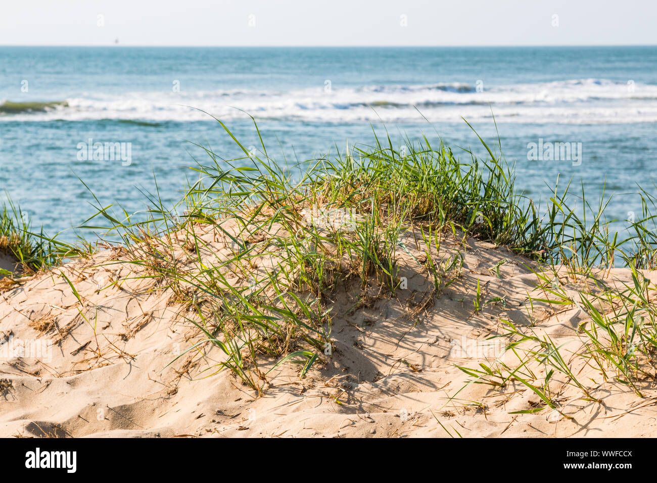 Virginia beach background hi-res stock photography and images - Alamy