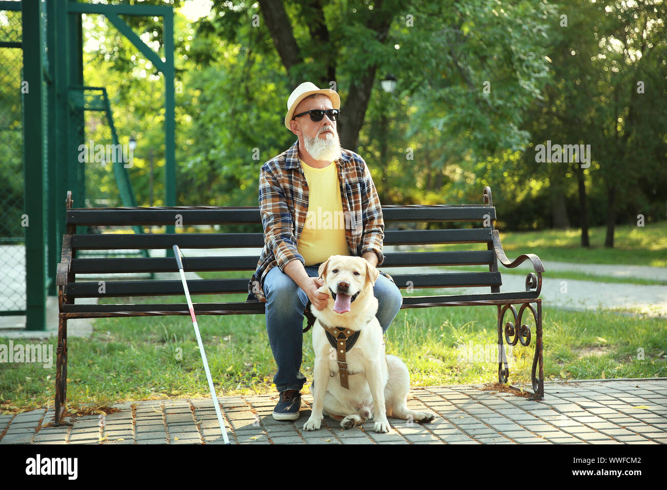 Blind mature man with guide dog sitting on bench in park Stock Photo ...