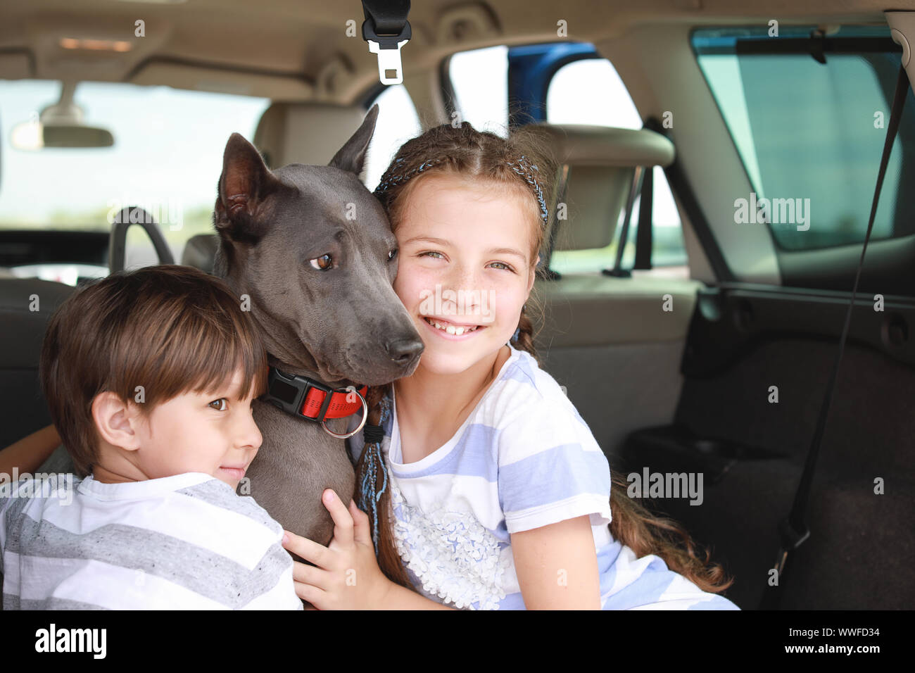 Happy children with dog sitting in car trunk Stock Photo - Alamy