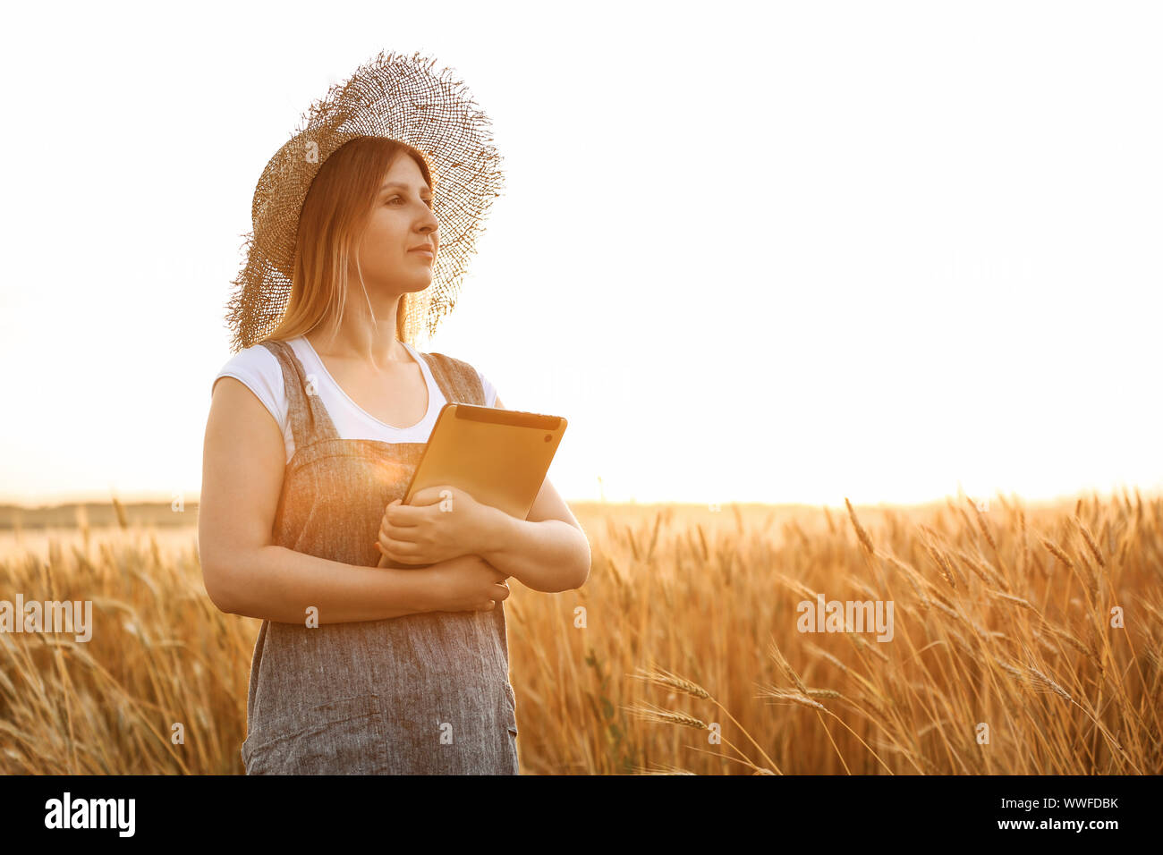 Portrait of farmer in wheat field Stock Photo - Alamy