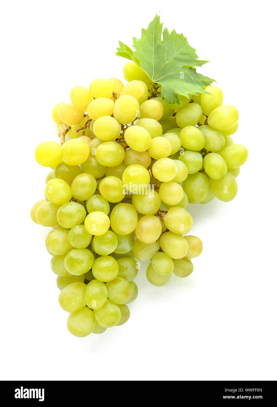 Ripe sweet grapes on white background Stock Photo - Alamy