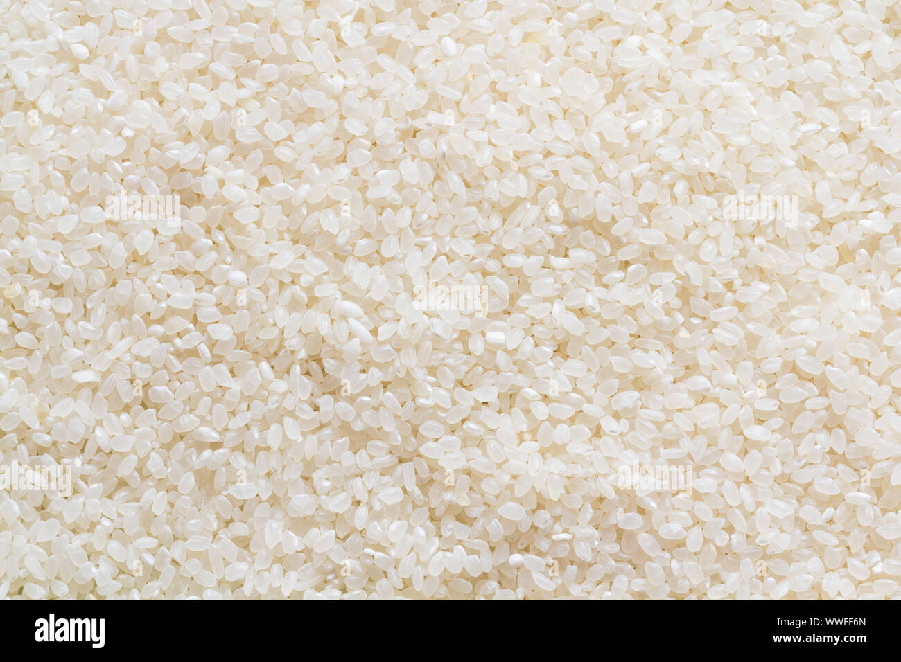 Background of short grain rice, japanese rice Stock Photo - Alamy