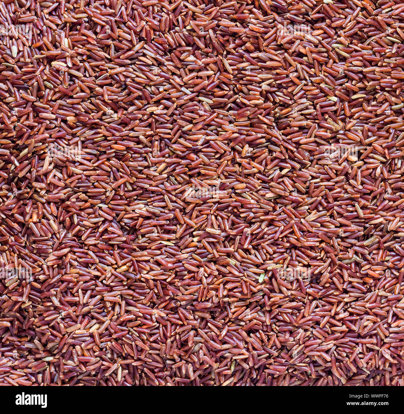Group of organic brown rice as background Stock Photo - Alamy