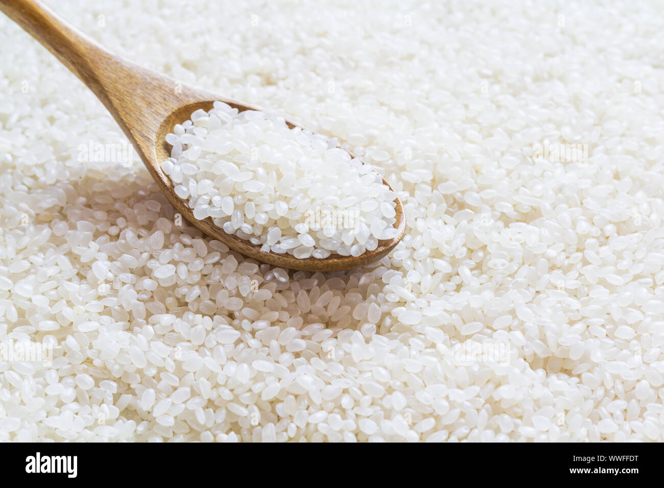 White rice on wooden spoon, japanese rice, short grain rice Stock Photo ...