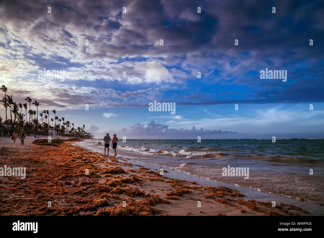 Sunset in Punta Cana in Dominican Republic. A Couple Walking at the ...