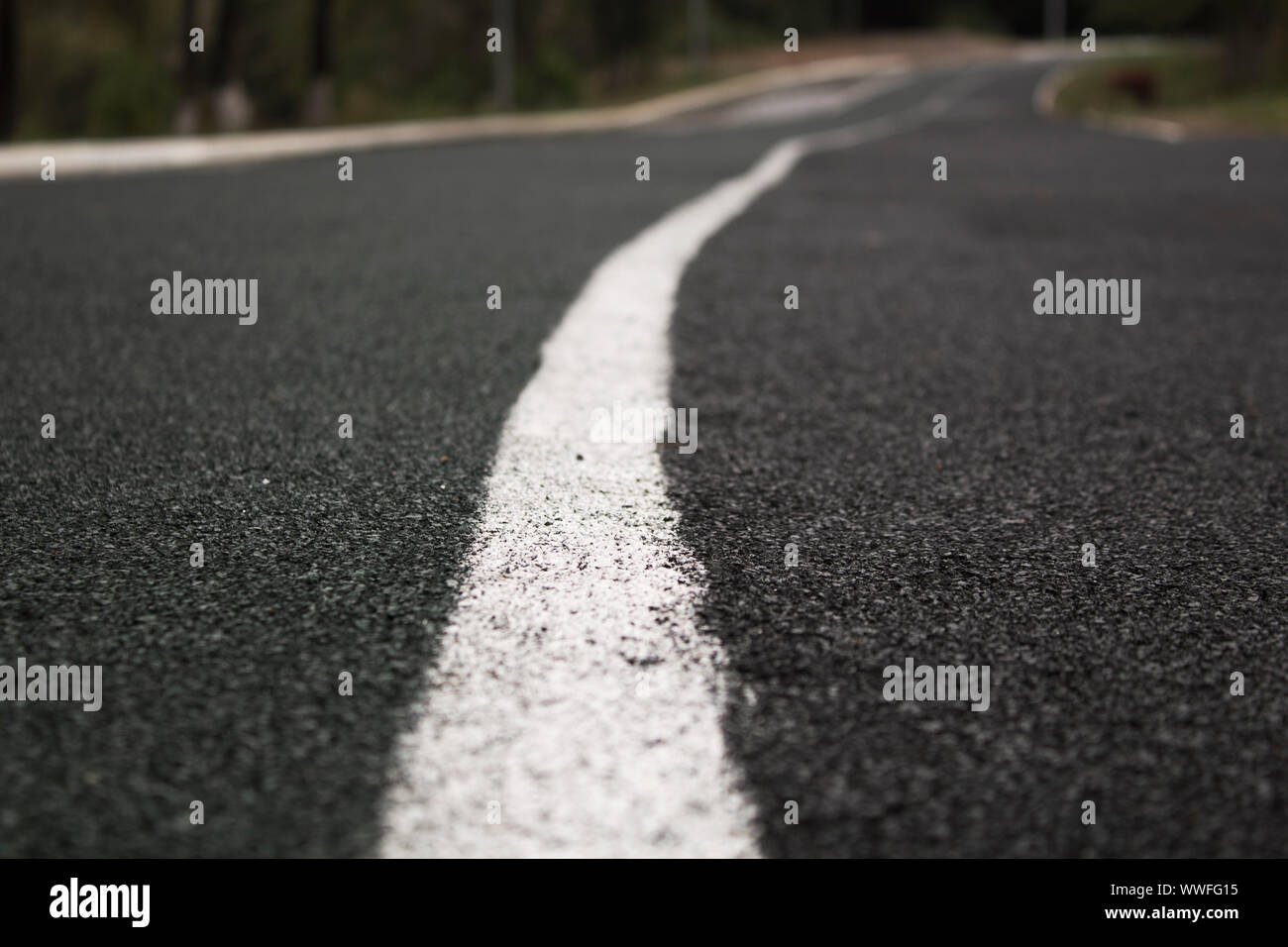 Running track. New track. Road marking Stock Photo - Alamy