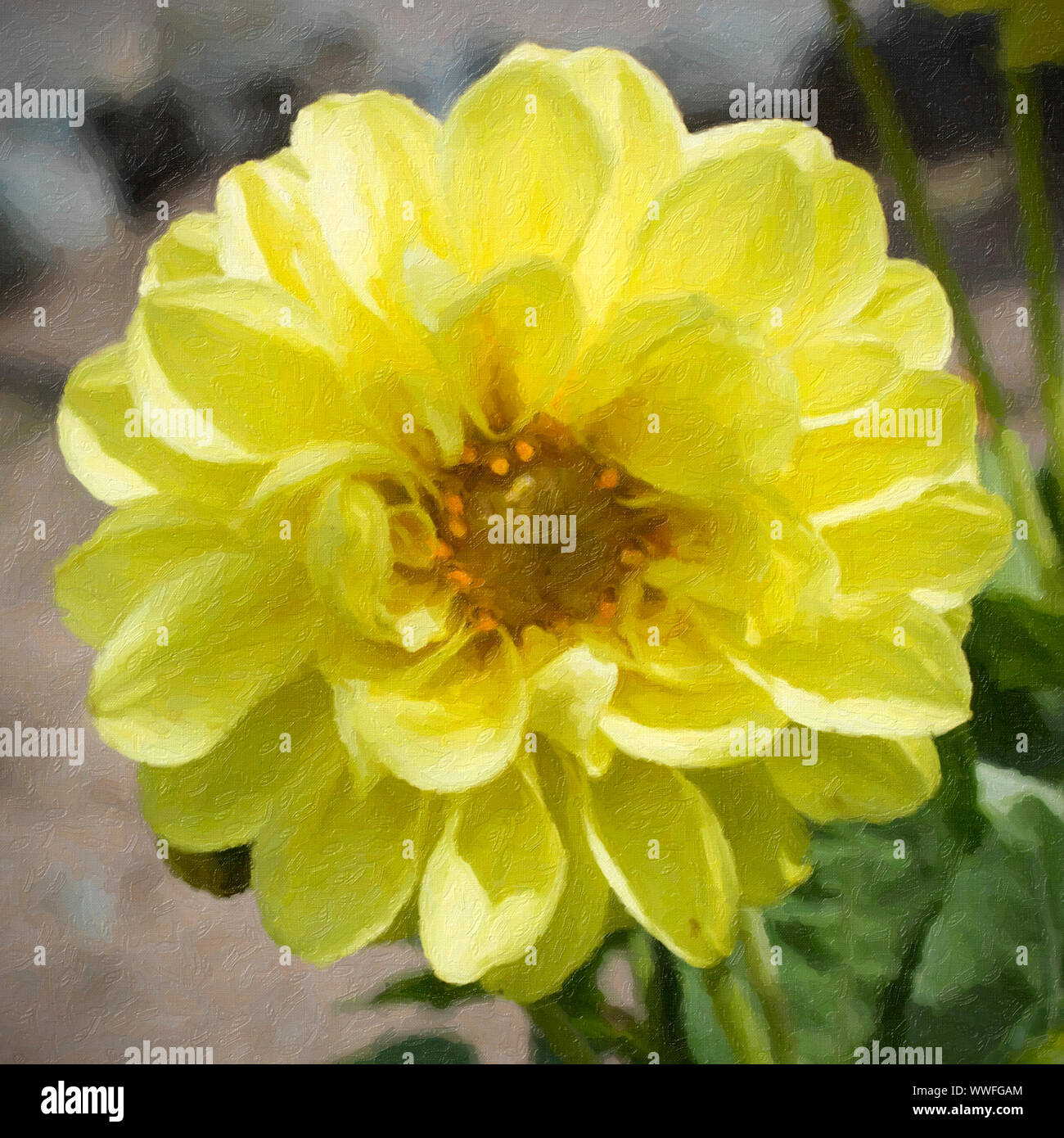 Abstract yellow flowers hi-res stock photography and images - Alamy