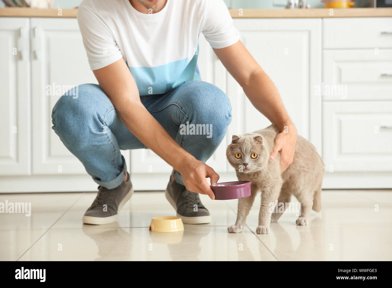 Man feeding cute funny cat in kitchen Stock Photo - Alamy