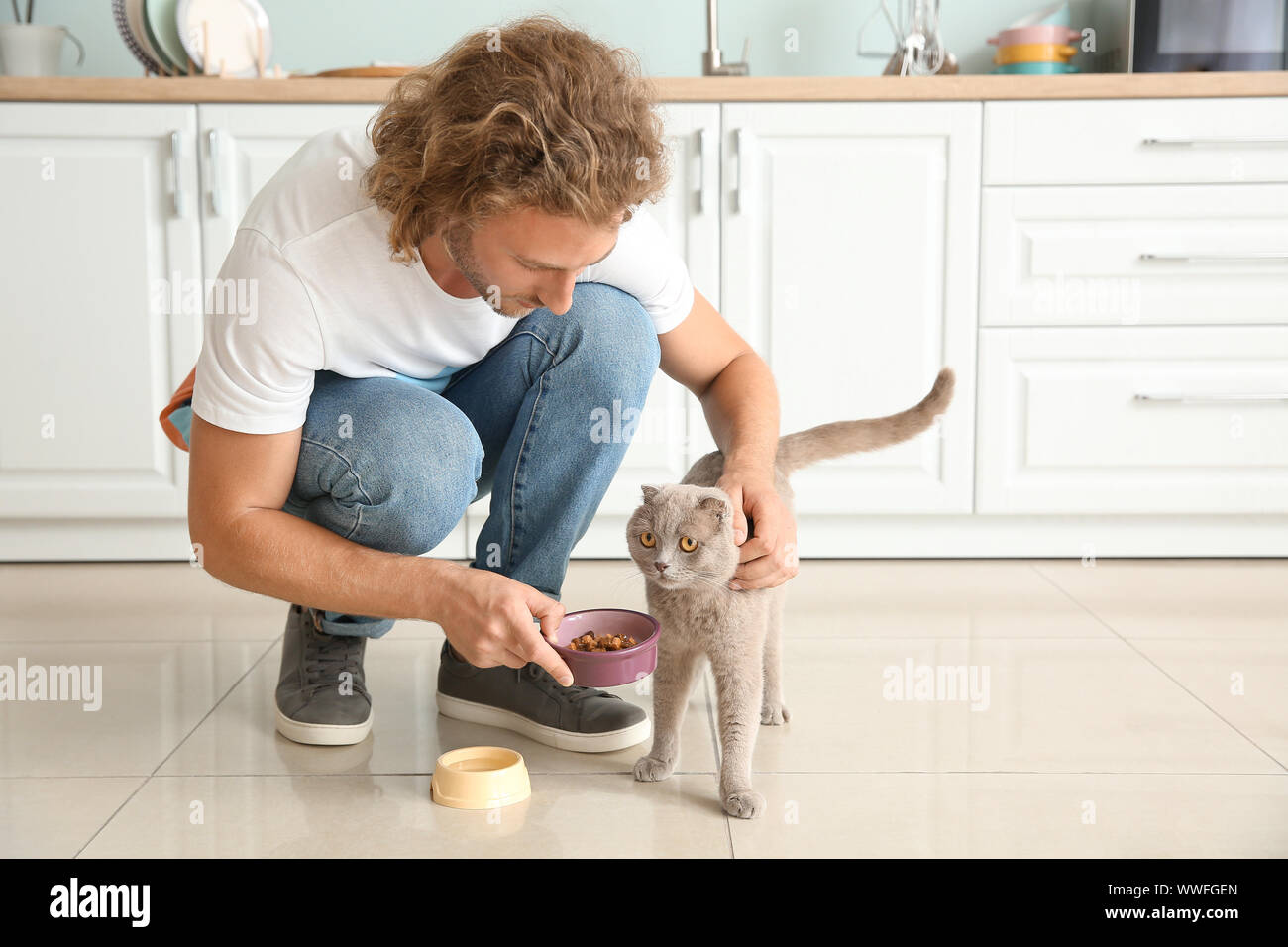 Man feeding cute funny cat in kitchen Stock Photo - Alamy