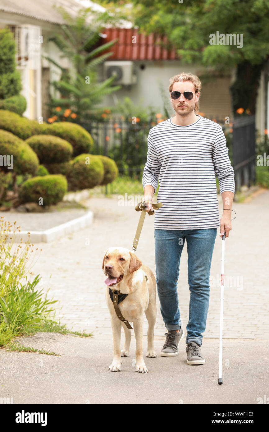 Blind young man with guide dog outdoors Stock Photo - Alamy