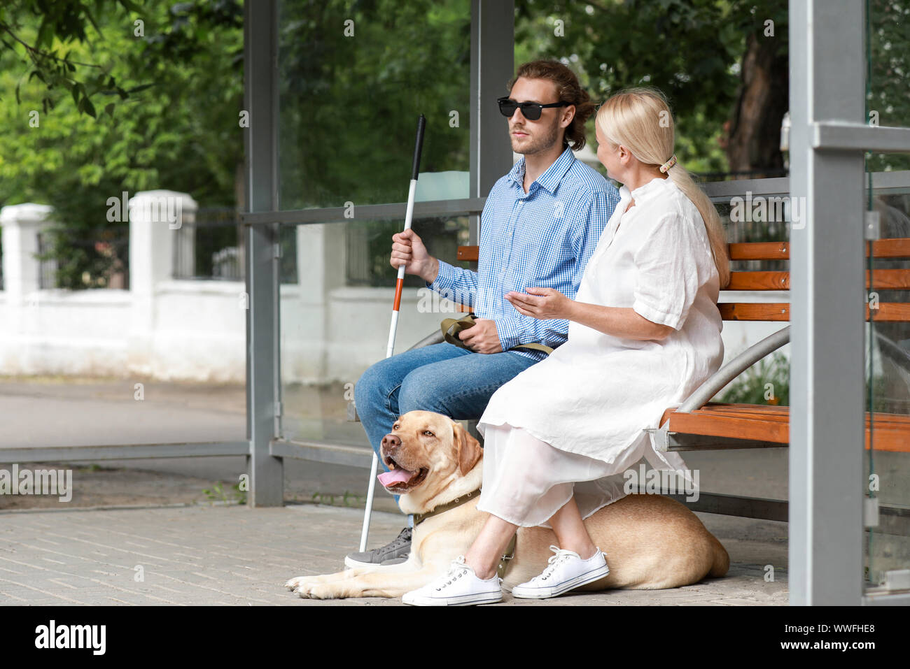 Blind guide dog bus hi-res stock photography and images - Alamy