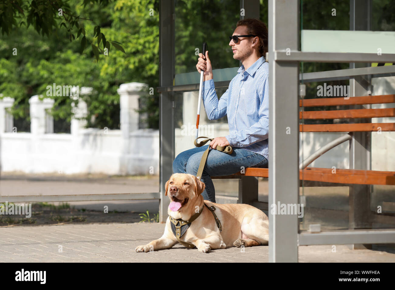 Blind guide dog bus hi-res stock photography and images - Alamy
