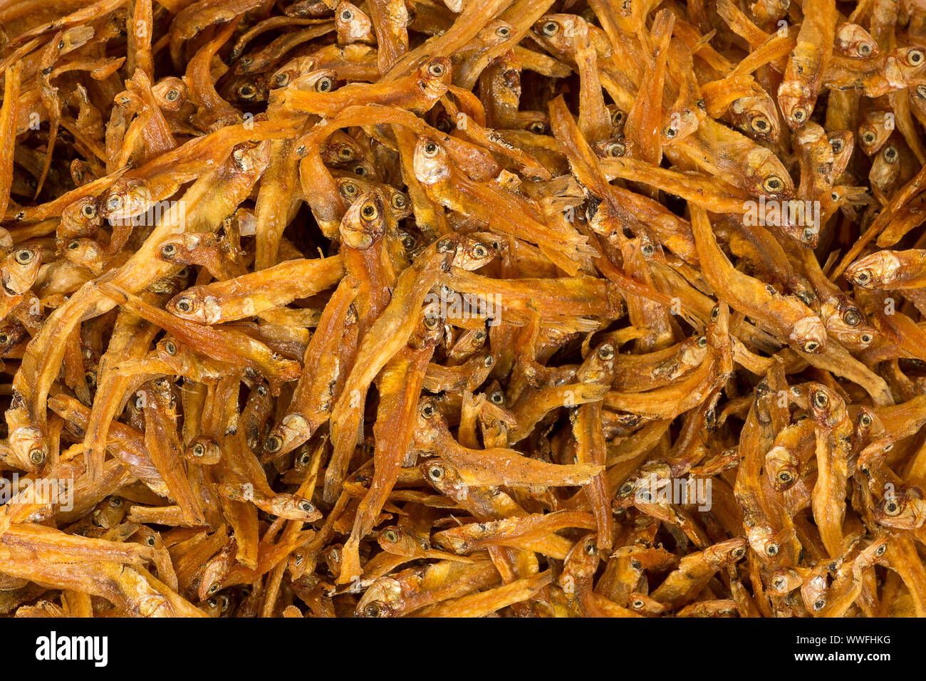 Fish With High Calcium at Rose Collins blog