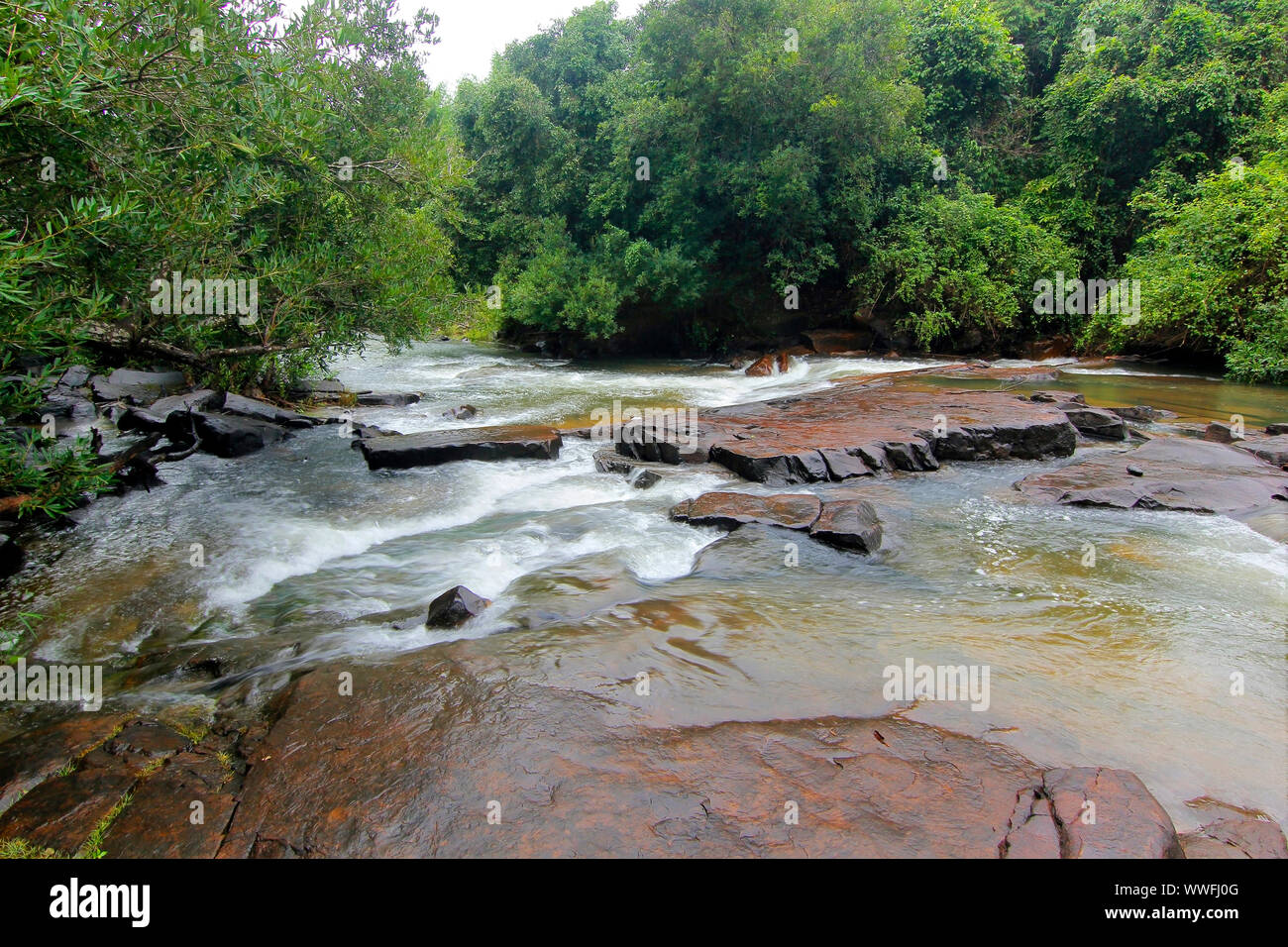 landscape photo, beautiful brook in green forest Stock Photo - Alamy
