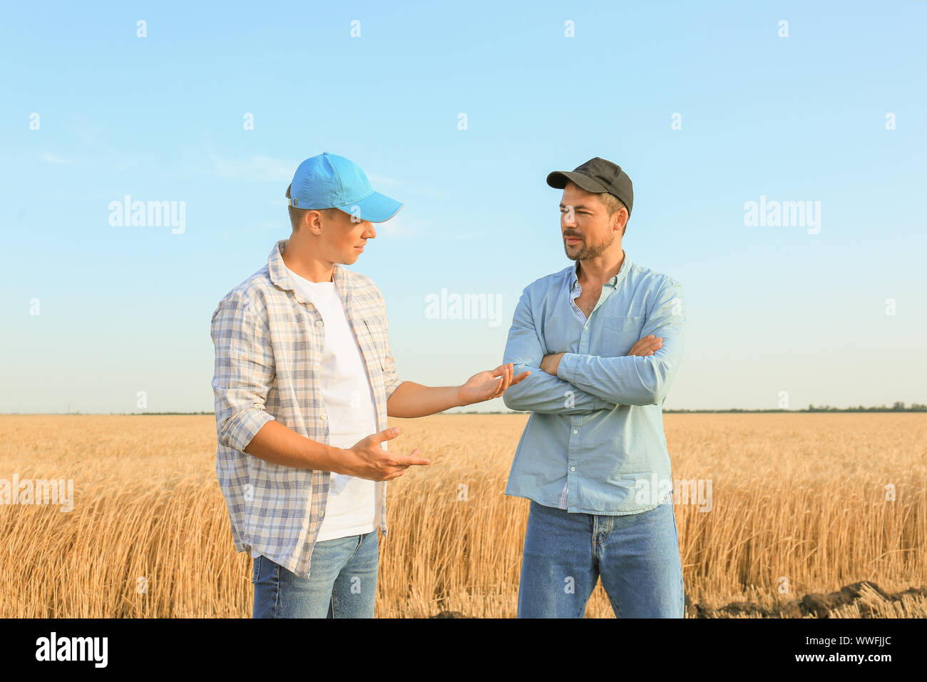Male farmers working in wheat field Stock Photo - Alamy