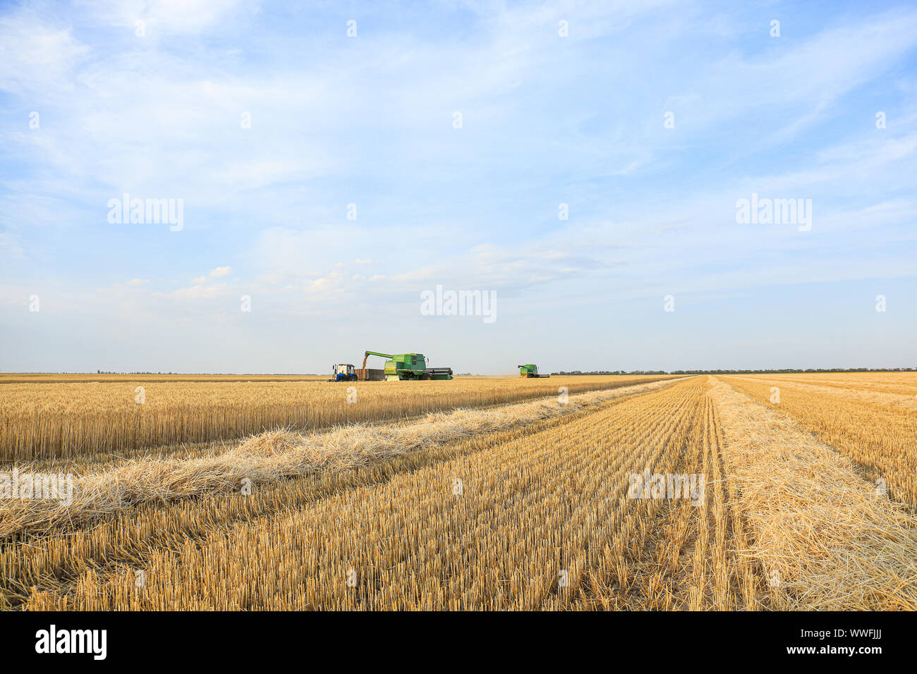 Combine harvesters in wheat field Stock Photo - Alamy