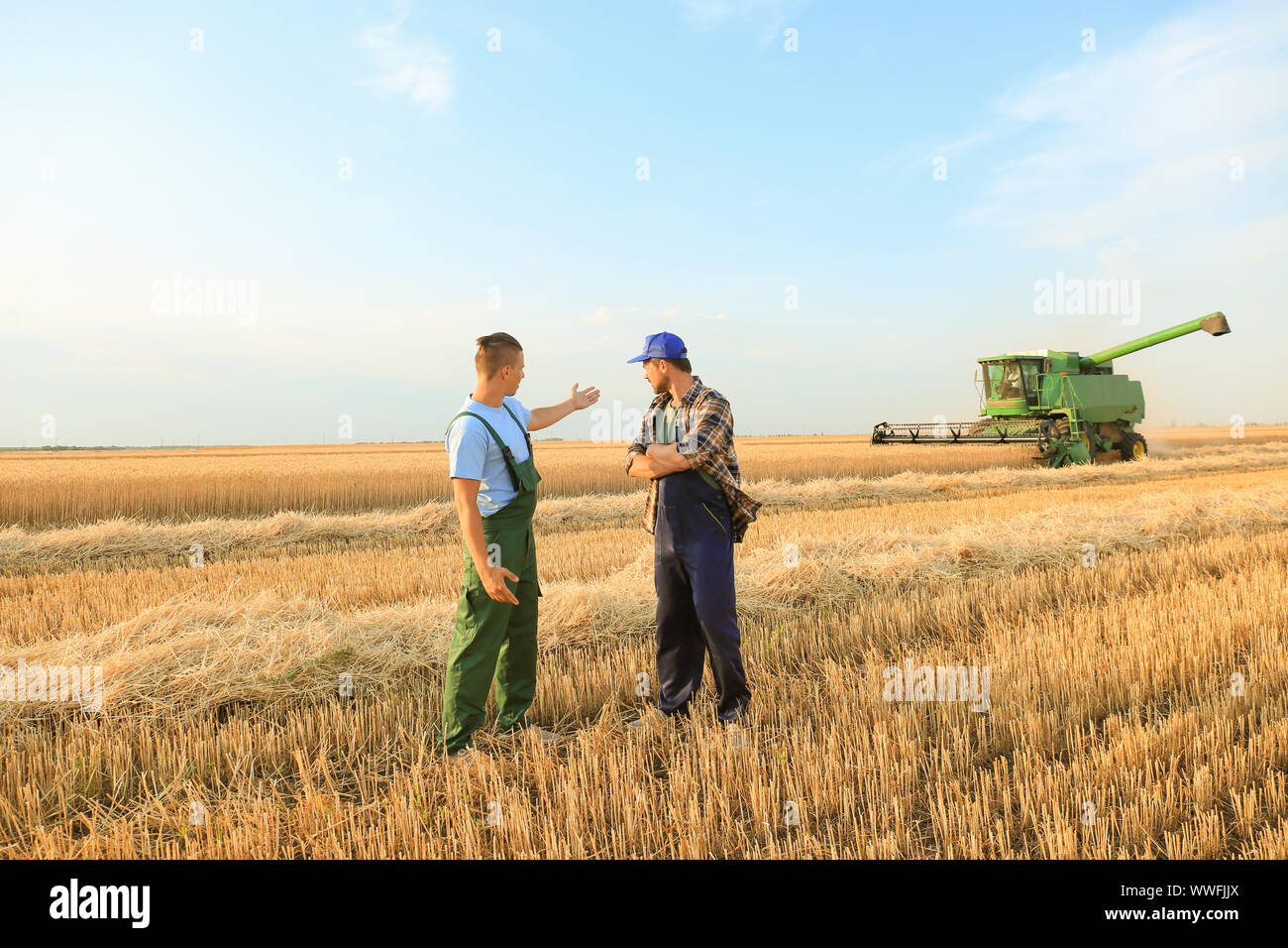 Male farmers working in wheat field Stock Photo - Alamy