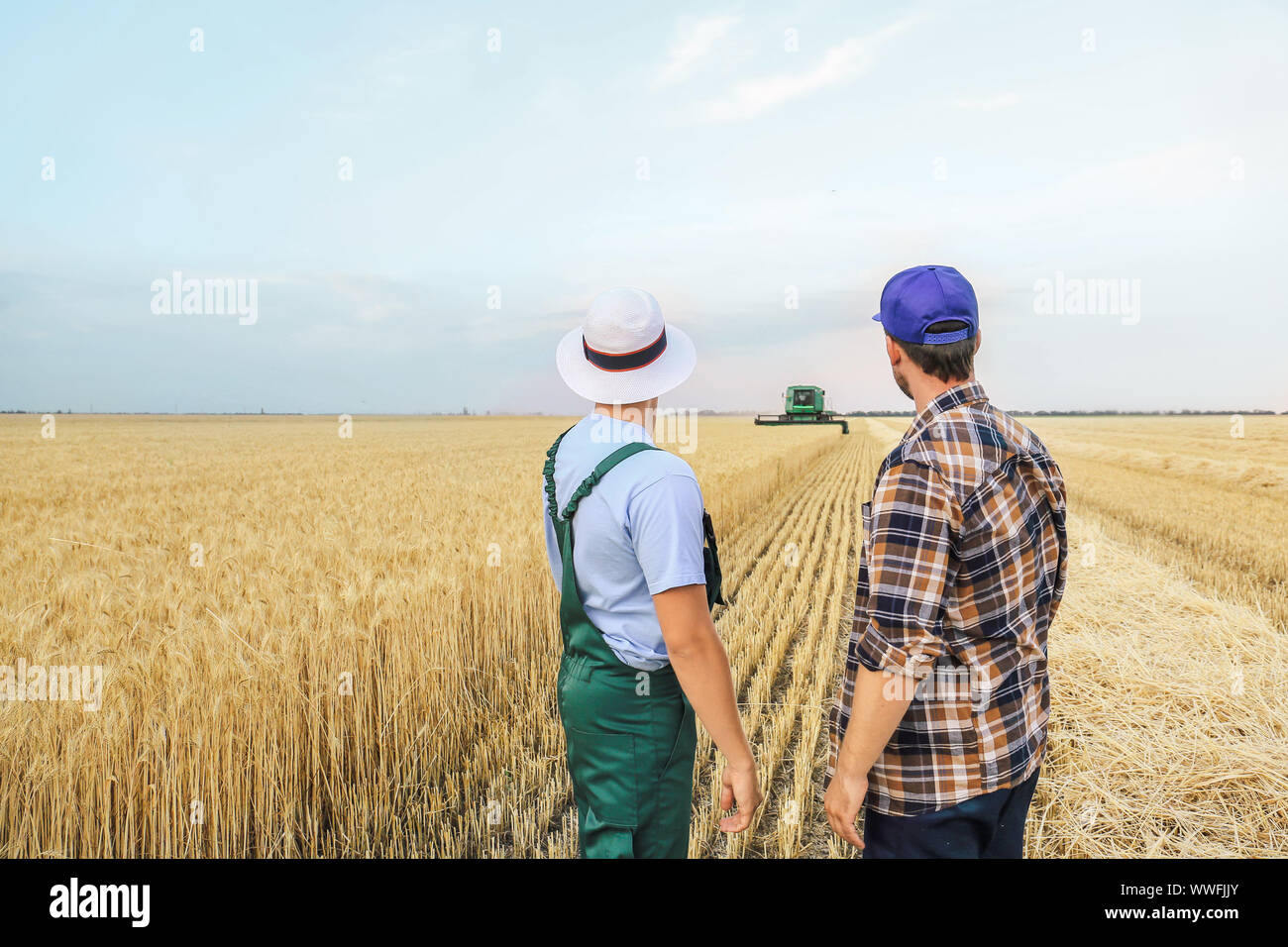 Male farmers working in wheat field Stock Photo - Alamy
