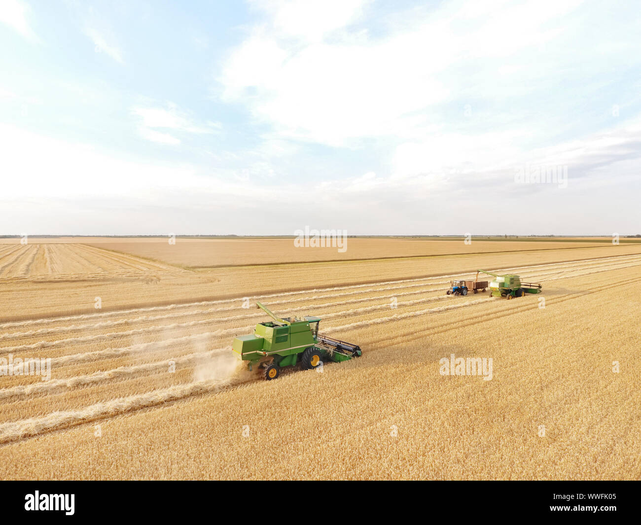 Combine harvesters in wheat field Stock Photo - Alamy