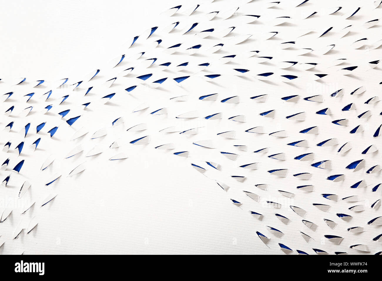 Perforated paper hi-res stock photography and images - Alamy