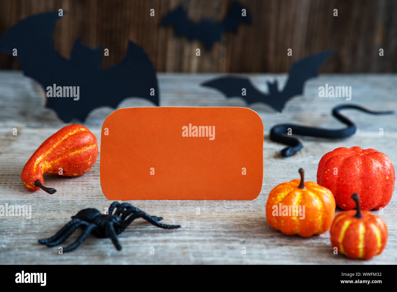 Label With Copy Space, Scarry Horror Halloween Decoration Stock Photo ...