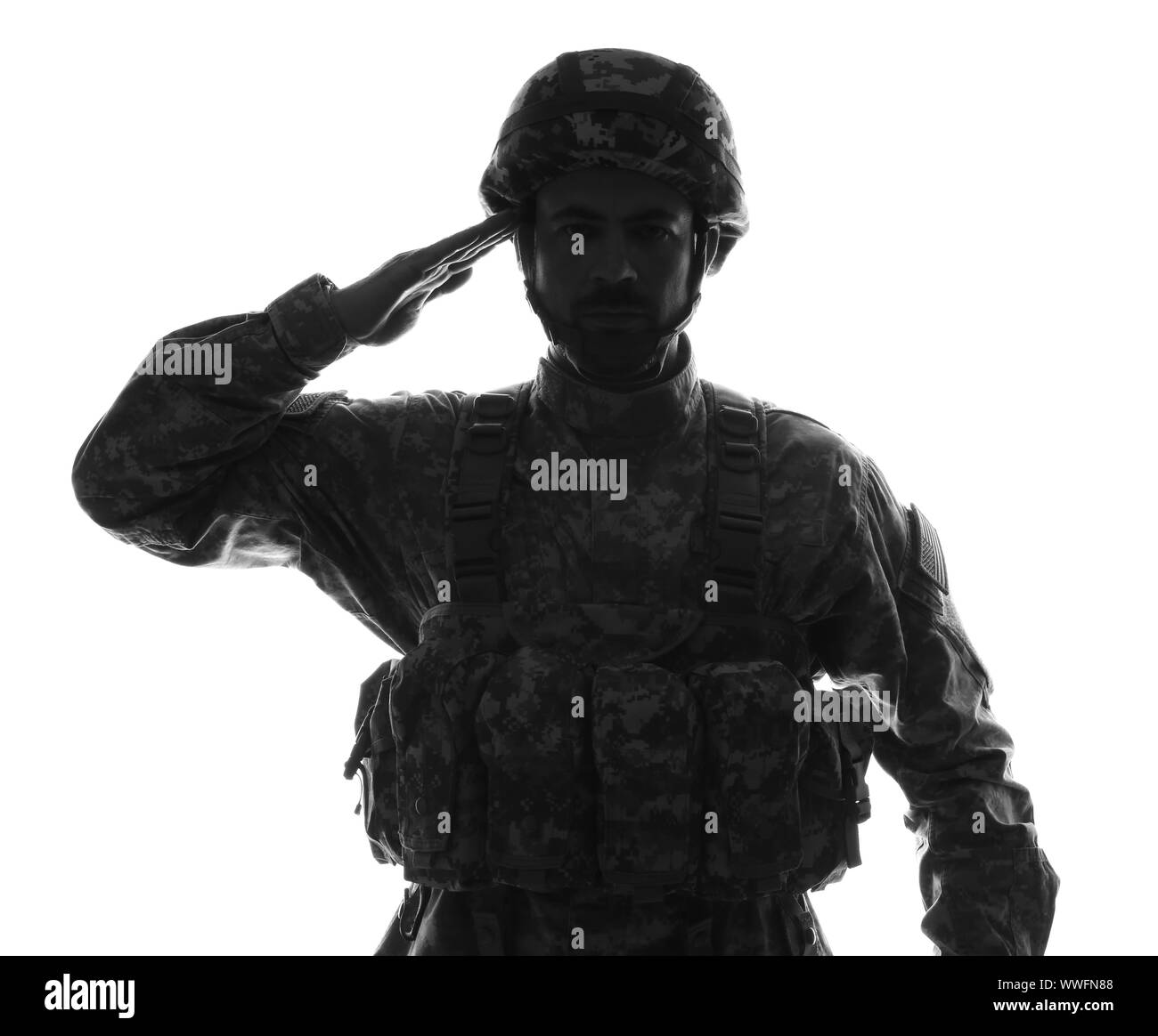 Color guard silhouette Black and White Stock Photos & Images - Alamy