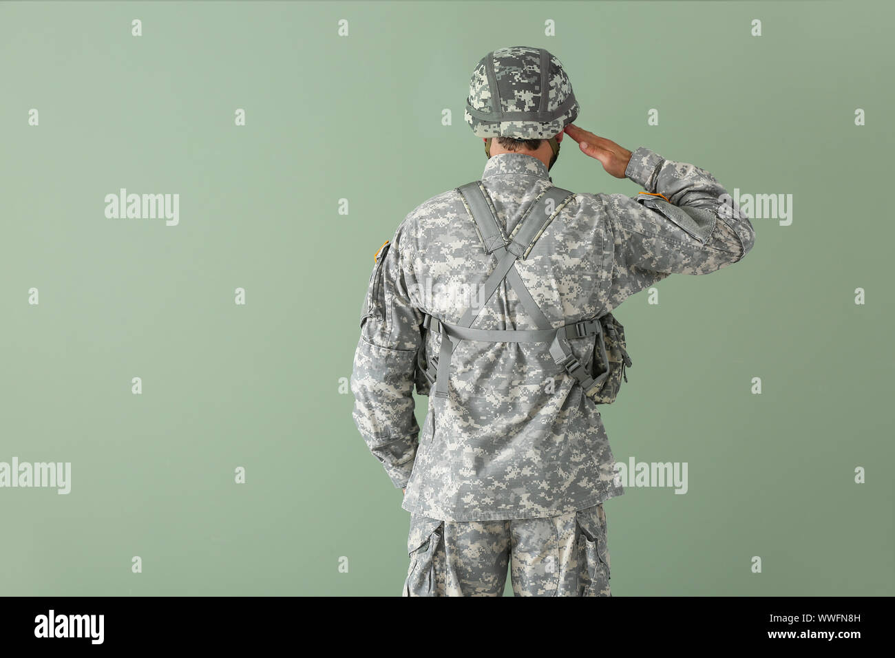 Saluting soldier on color background, back view Stock Photo - Alamy