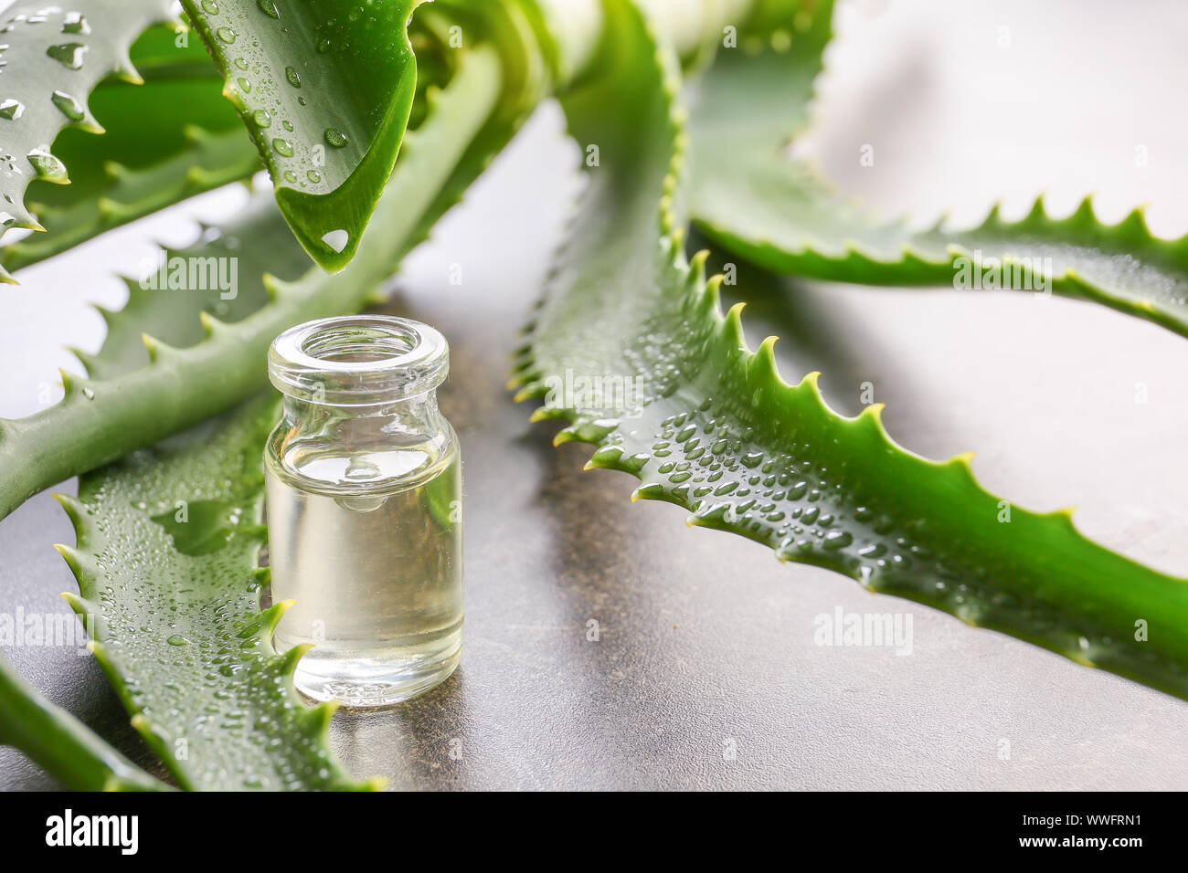 Dripping of aloe juice from fresh leaf into bottle Stock Photo - Alamy