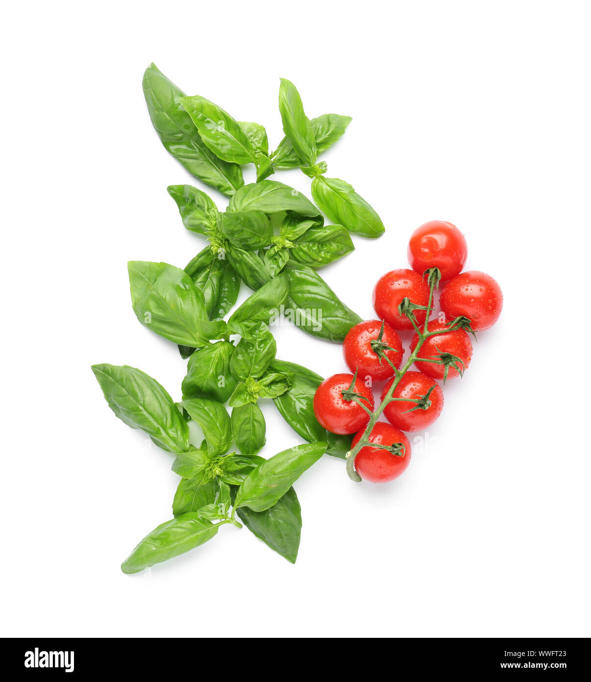 Fresh basil and tomato on white background Stock Photo - Alamy