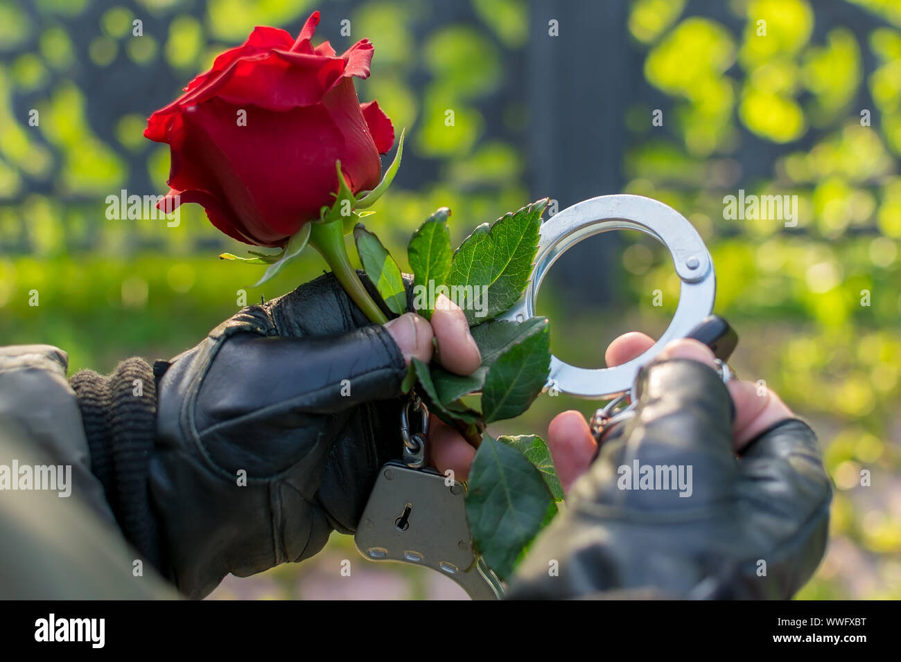 Handcuff And Rose Red