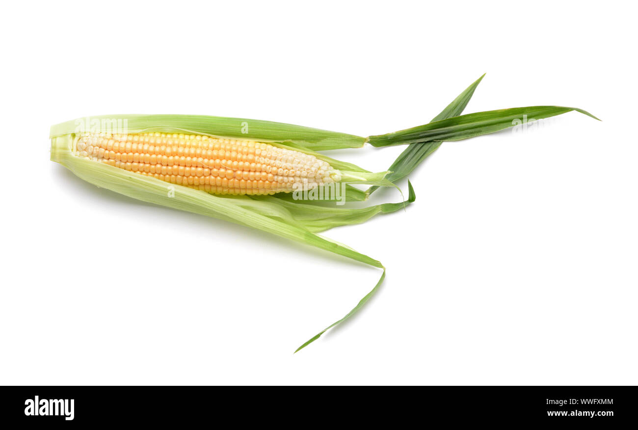 Fresh corn cob on white background Stock Photo - Alamy