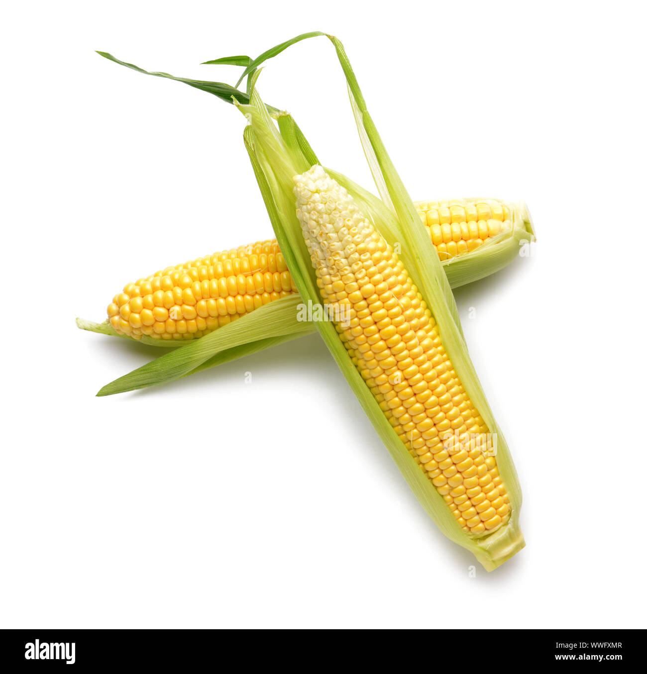 Fresh corn cobs on white background Stock Photo - Alamy