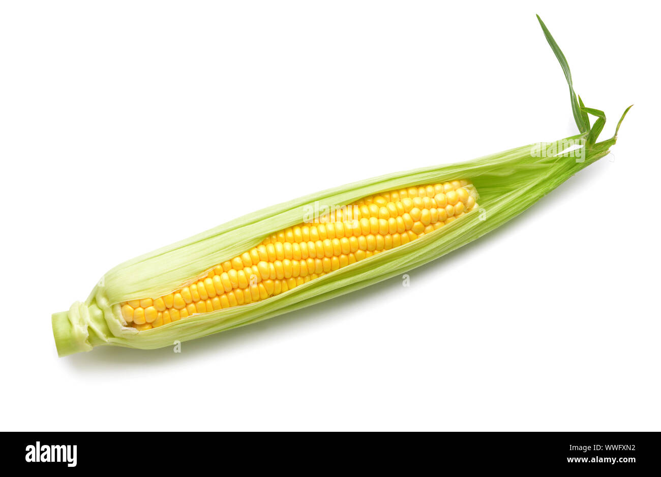 Fresh corn cob on white background Stock Photo - Alamy