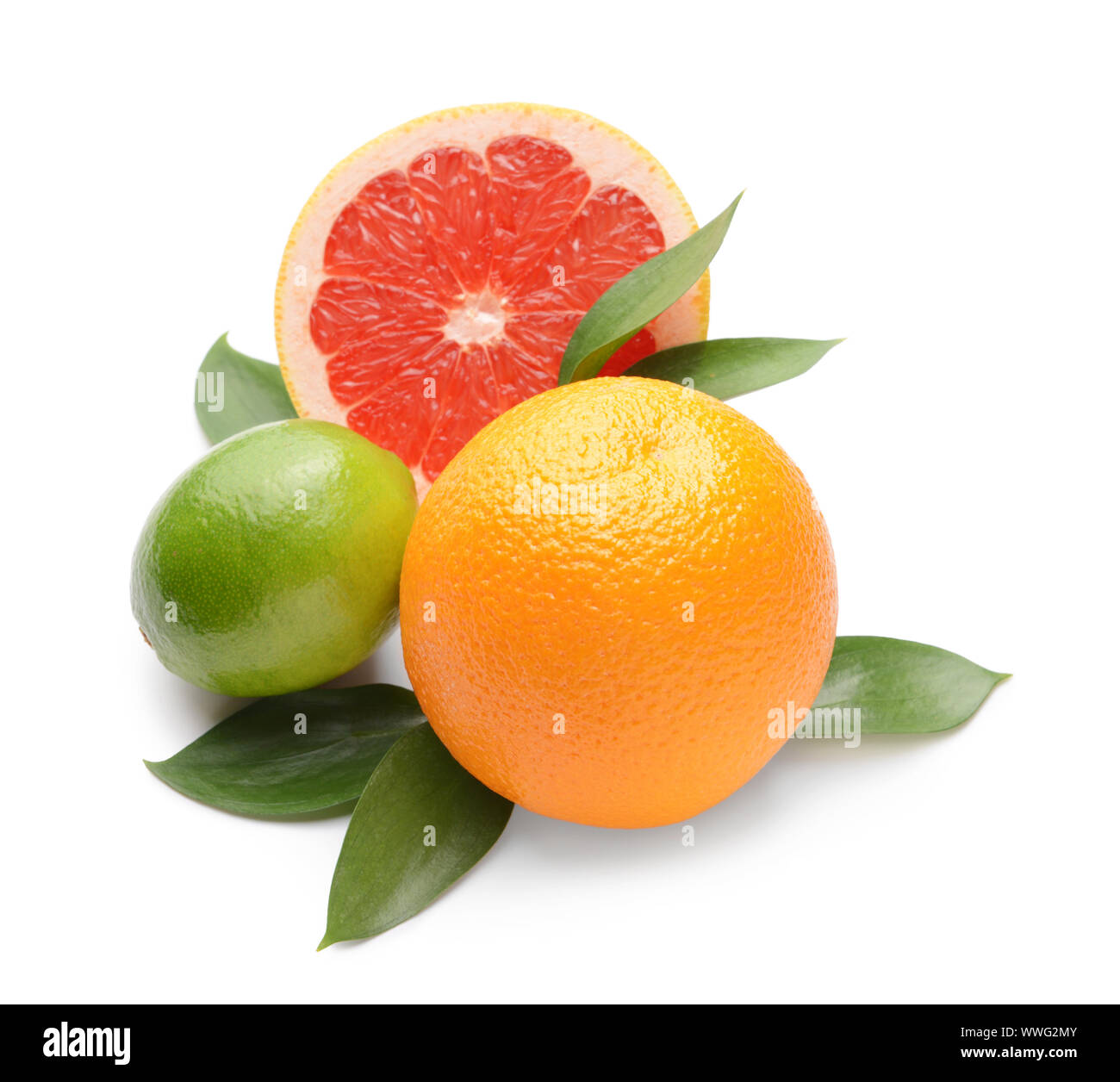Different citrus fruits on white background Stock Photo - Alamy Different citrus fruits on white background Stock Photo - Alamy