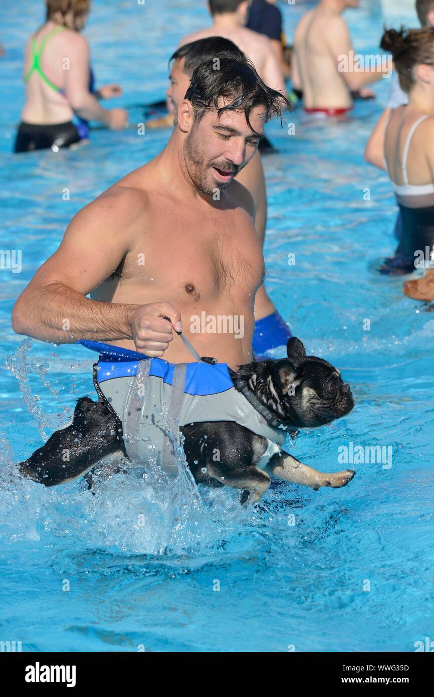 Annual dog swim at Saltdean Lido, Brighton 14/09/2019 An end of season ...