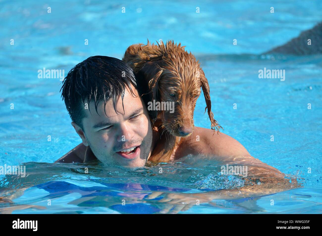 Annual dog swim at Saltdean Lido, Brighton 14/09/2019 An end of season ...